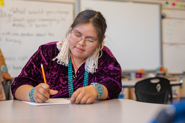Native American Student Success | Northland Pioneer College, Arizona