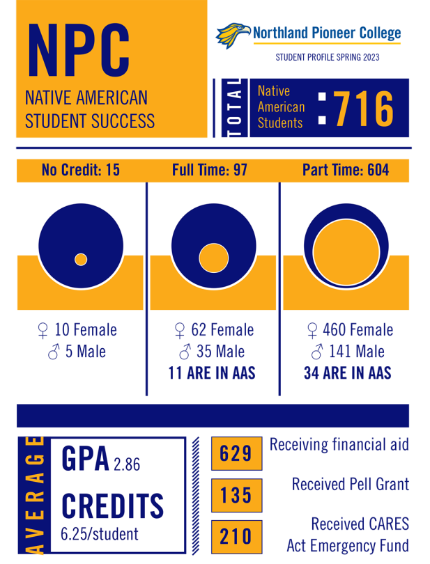 Native American Student Success | Northland Pioneer College, Arizona